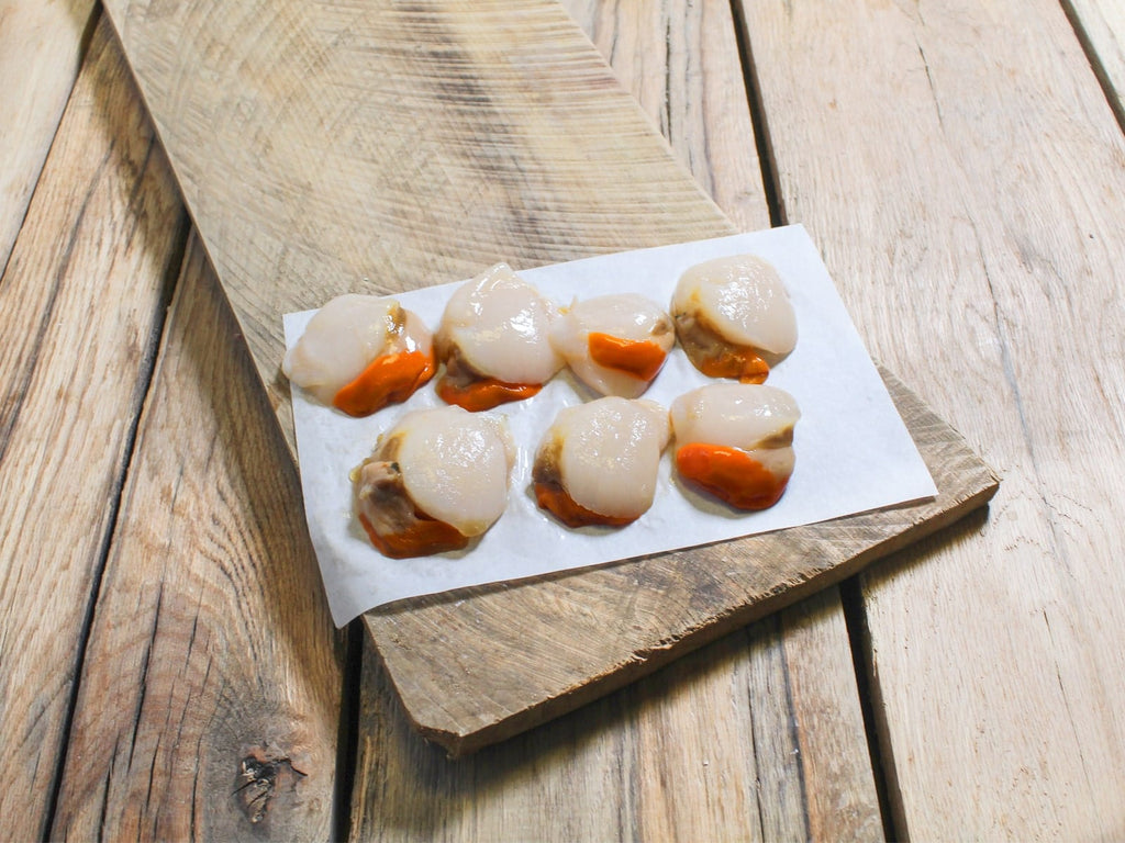 Hand Dived Wild Scallops | Eversfield Organic | UK Delivery